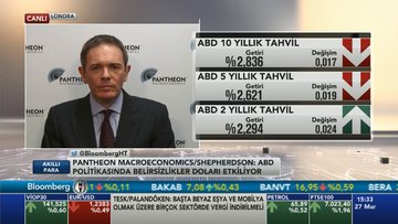 "TL risk altında"