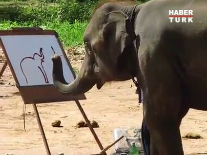 Fil resmi çizen 'fil' | Video