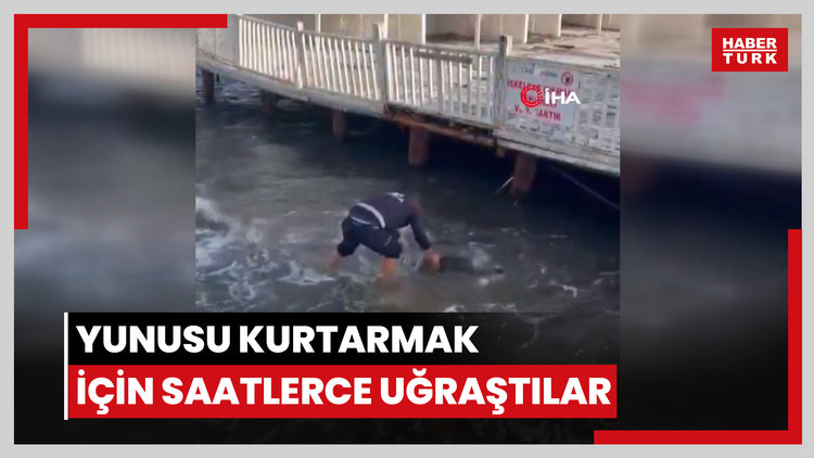 Yunusu kurtarmak için saatlerce uğraştılar | Video