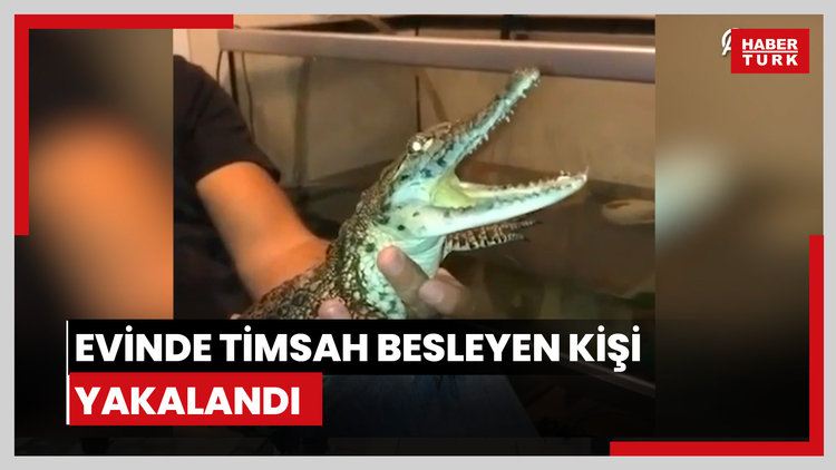 Evinde timsah besleyen kişi yakalandı | Video